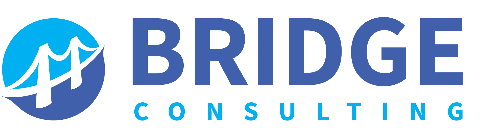 Bridge Consulting – Bridging the Software Gap